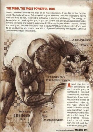 Arnold Training Guide | PDF