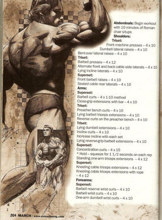 Arnold Training Guide | PDF