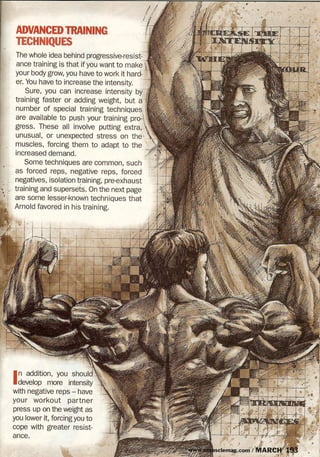 Arnold Training Guide | PDF