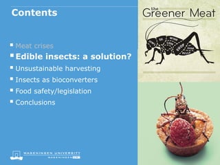 Farming insects as food and feed - Arnold van Huis, Wageningen ...