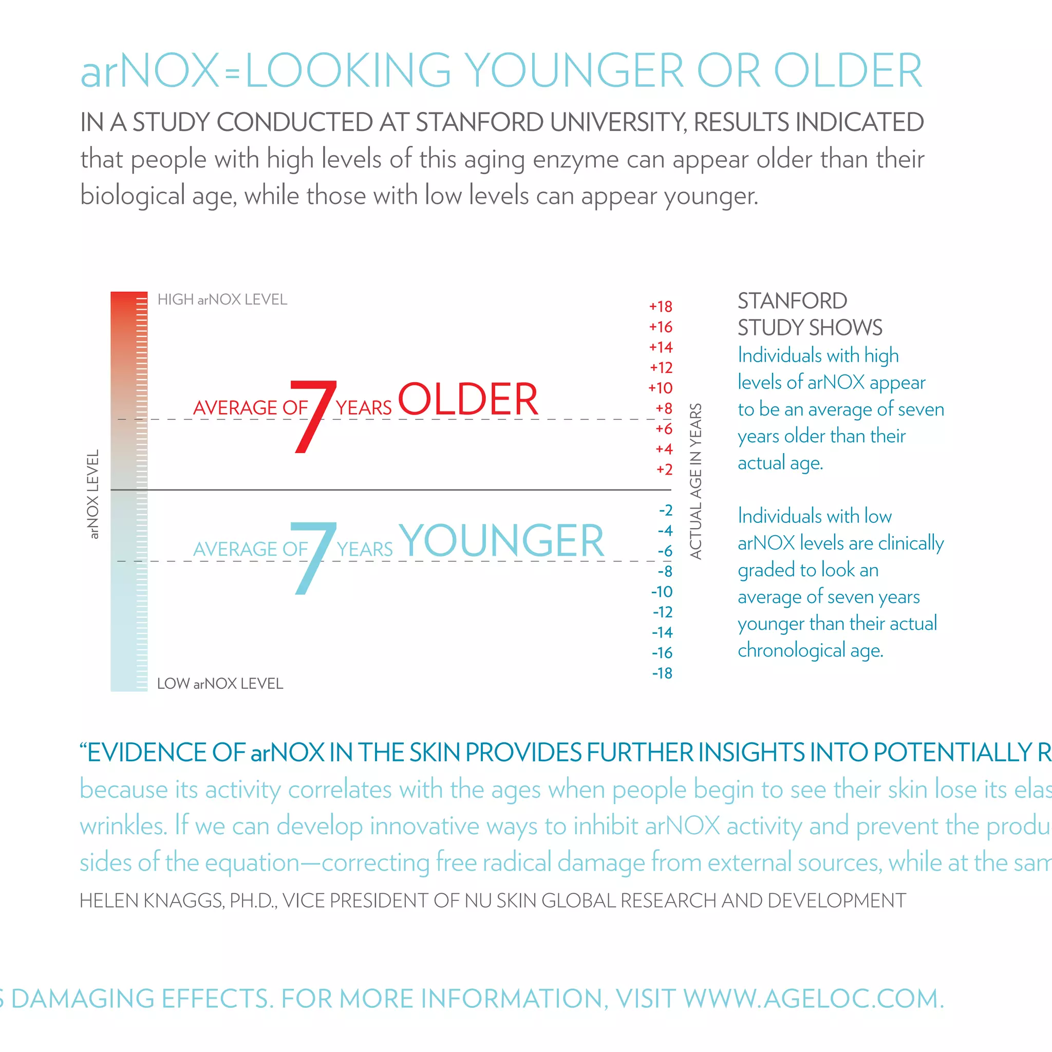 Arnox brochure | PDF