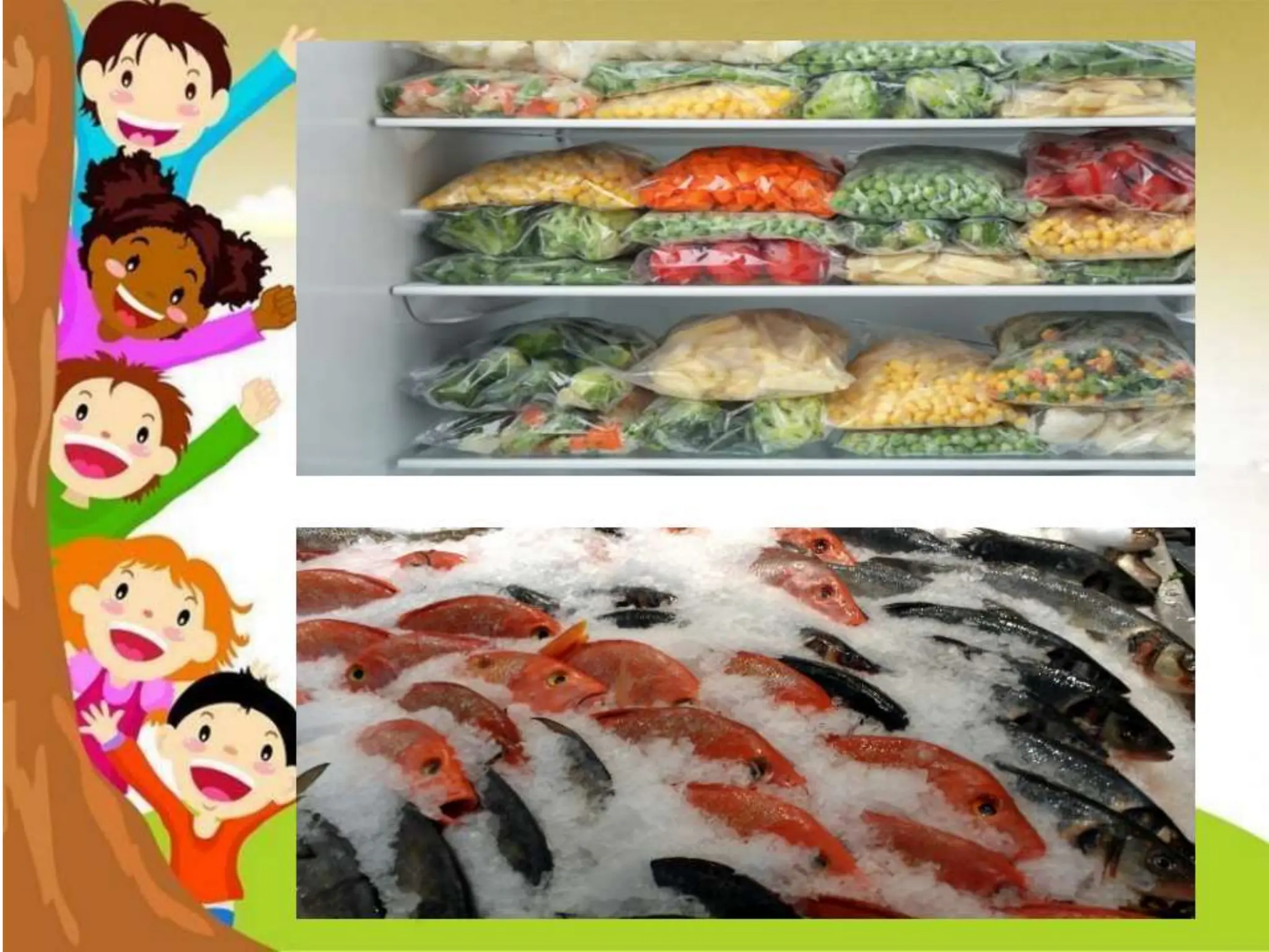 Arnoza_-food-preservation power point .pptx