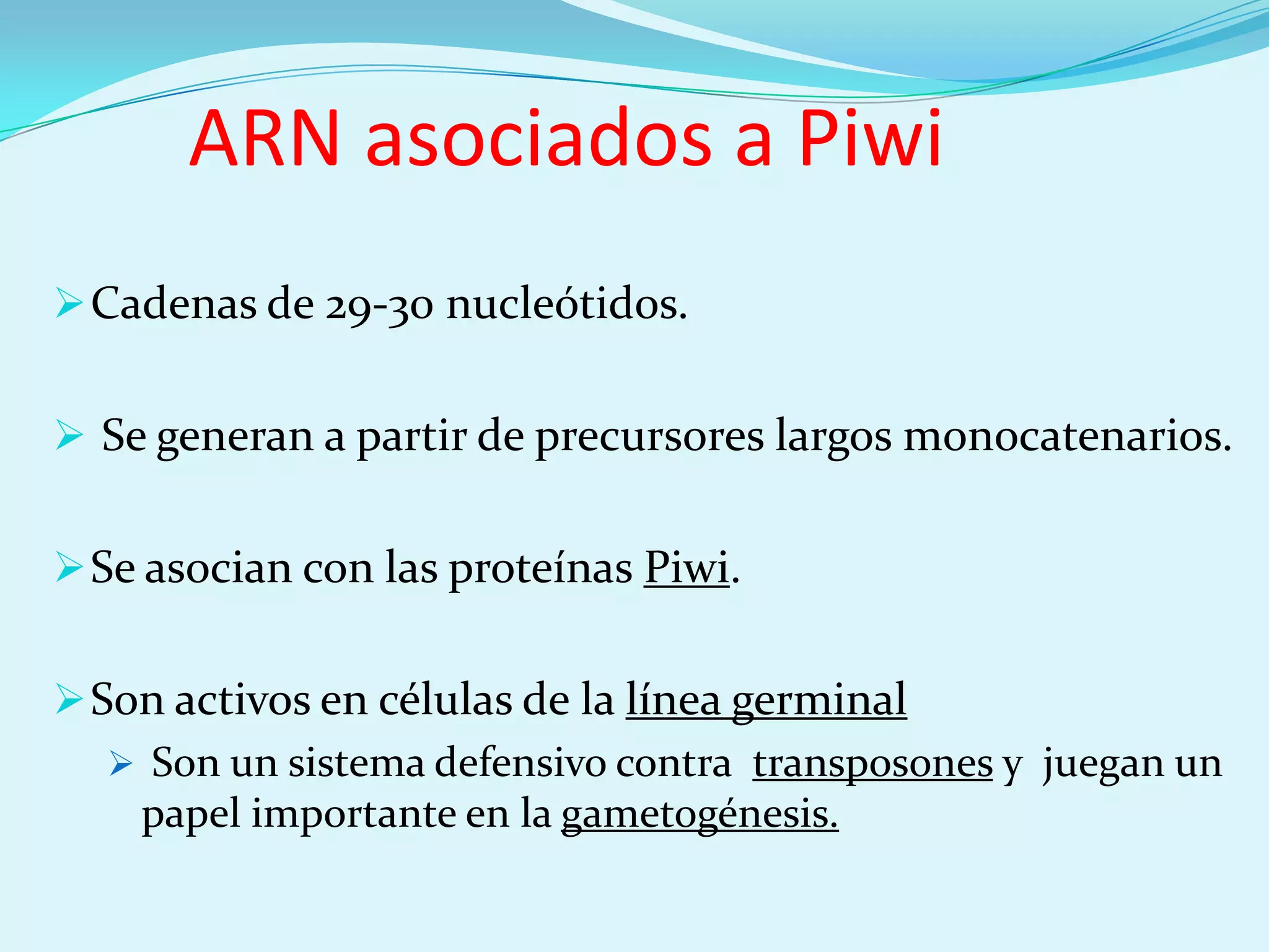 Arn tipos y funciones. | PPTX