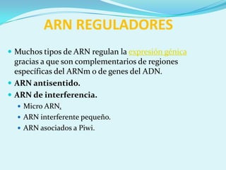 Arn tipos y funciones. | PPTX