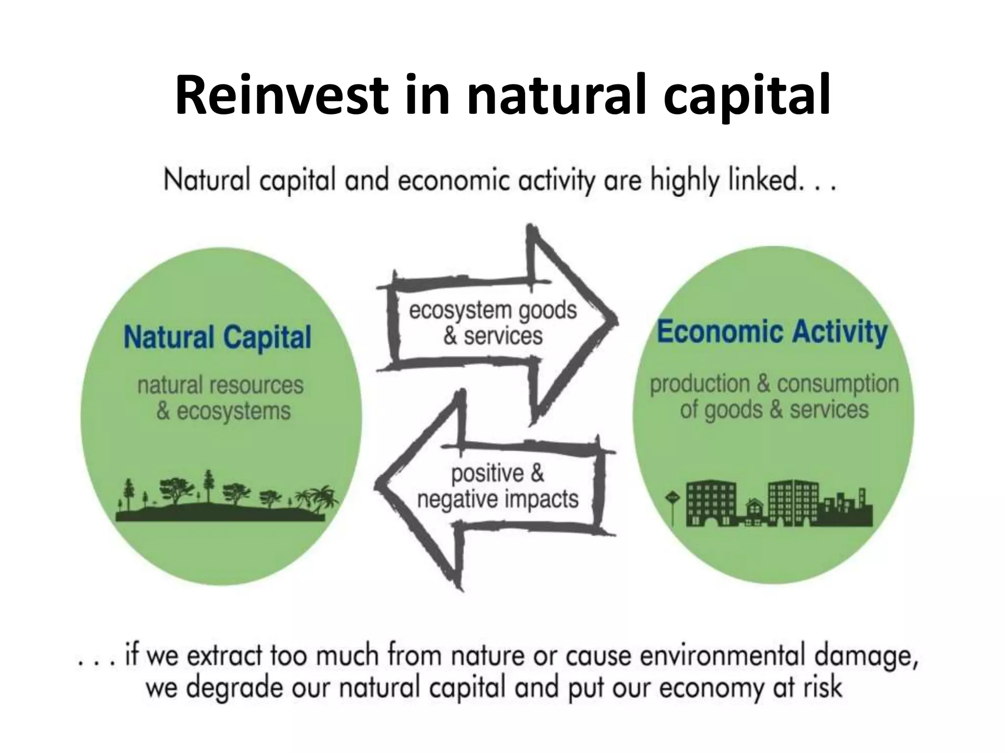 A Road Map For Natural Capitalism | PPTX | Business | Business and Finance