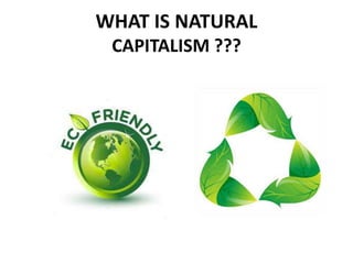 A Road Map For Natural Capitalism | PPTX | Business | Business and Finance