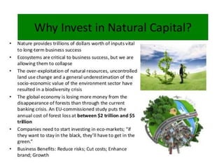 A Road Map For Natural Capitalism | PPTX | Business | Business and Finance