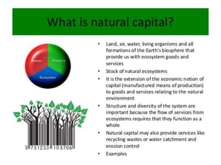 A Road Map For Natural Capitalism | PPTX | Business | Business and Finance