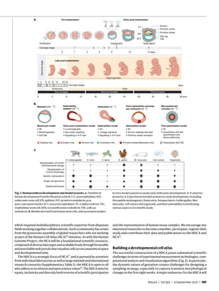 A roadmap for the human development | PDF