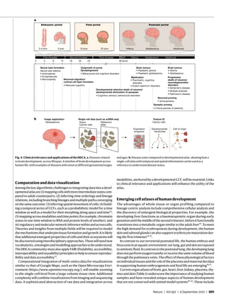 A roadmap for the human development | PDF