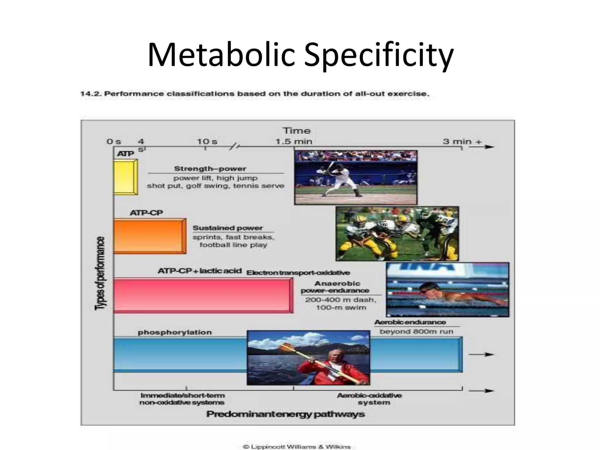 Arobic and anaerobic conditioning | PPTX