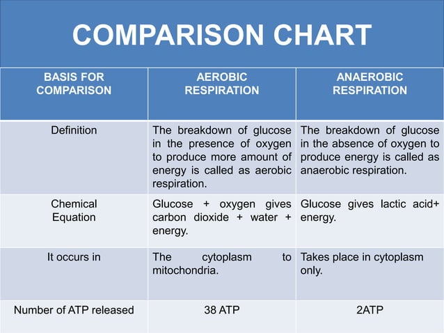 Arobic and anerobic respiration | PPTX | Chemistry | Science
