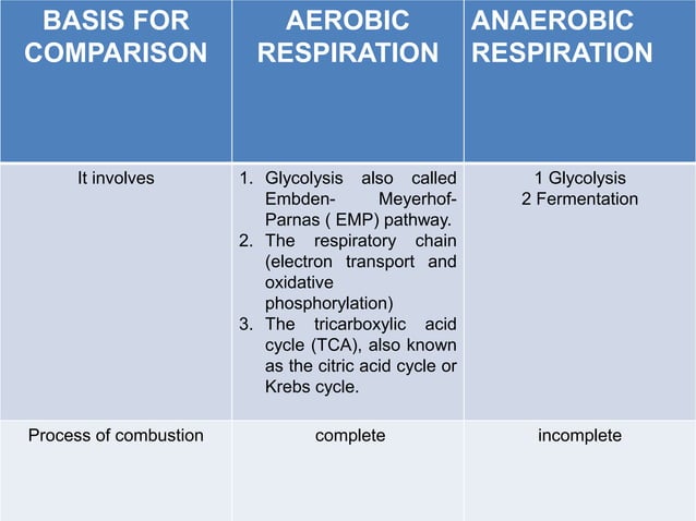 Arobic and anerobic respiration | PPTX | Chemistry | Science