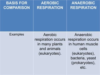 Arobic and anerobic respiration | PPTX