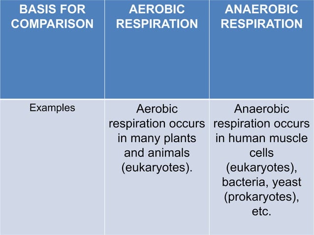 Arobic and anerobic respiration | PPTX | Chemistry | Science