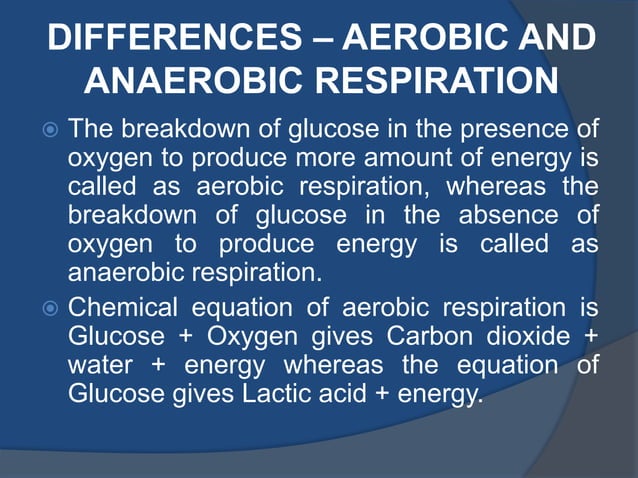 Arobic and anerobic respiration | PPTX | Chemistry | Science