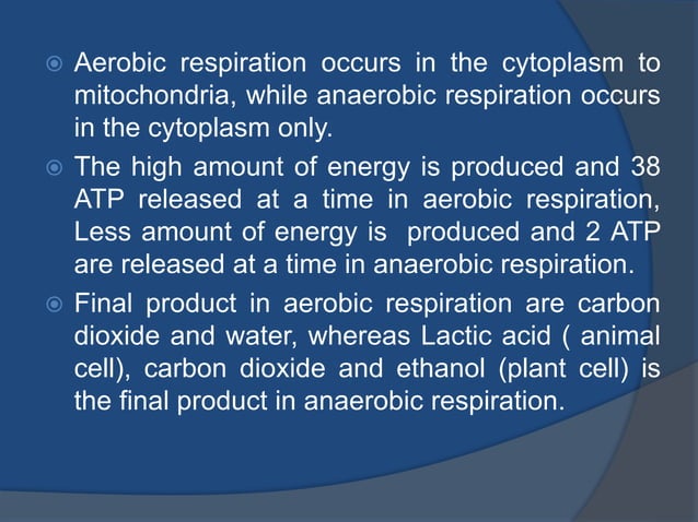 Arobic and anerobic respiration | PPTX | Chemistry | Science