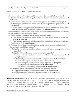 Aroideana43(3&4) le et al. - arisaema menglaense (1) | PDF | Asia Travel | Travel Locations