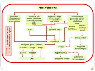 Aromaterapi ii | PPT