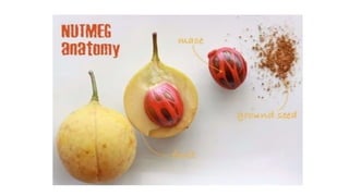 Aromatic-Spice-Nutmeg-witg unique flavour.ppt