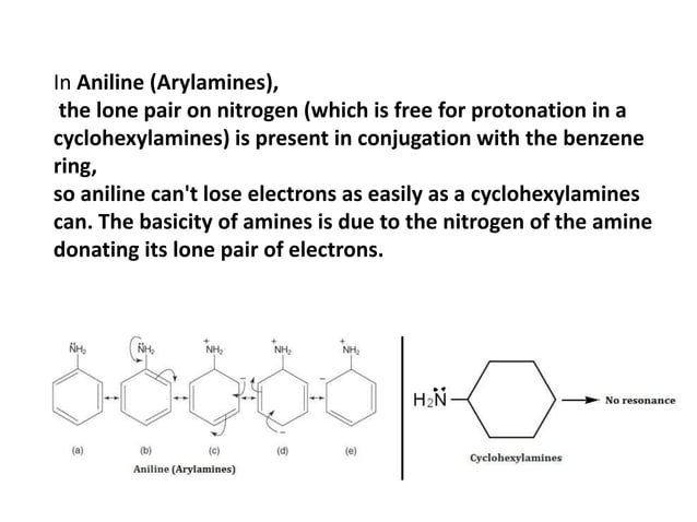 aromatic amine.pptx