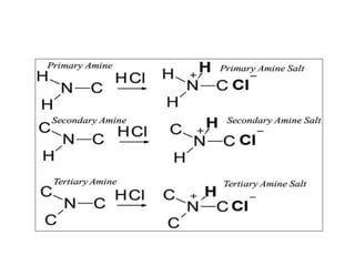 Tertiary Amine C4h11n
