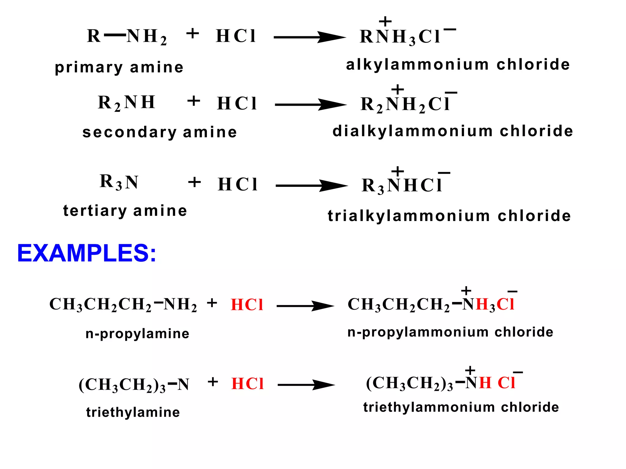 aromatic amines.pptx