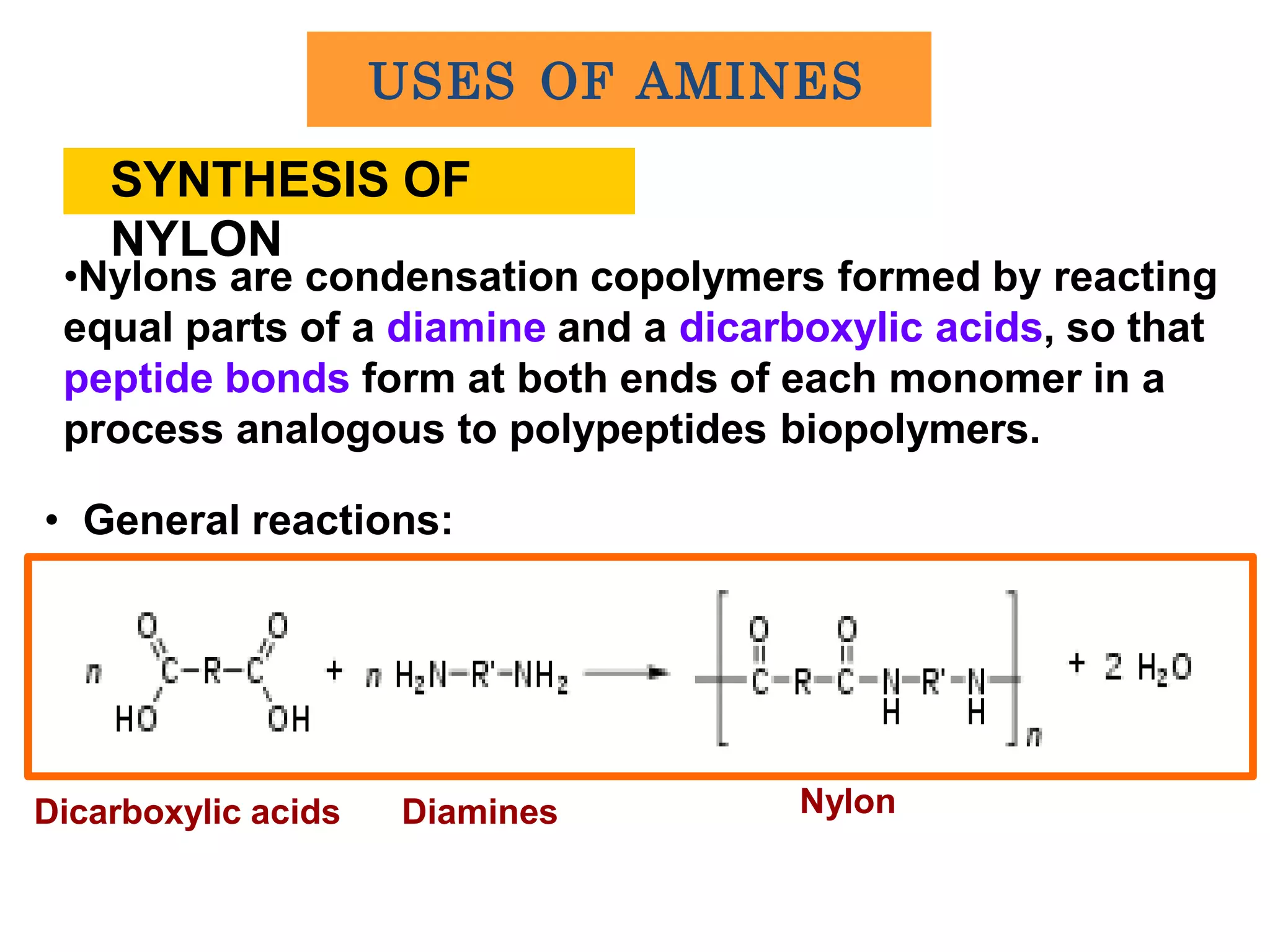 aromatic amines.pptx