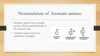AROMATIC AMINES .pptx