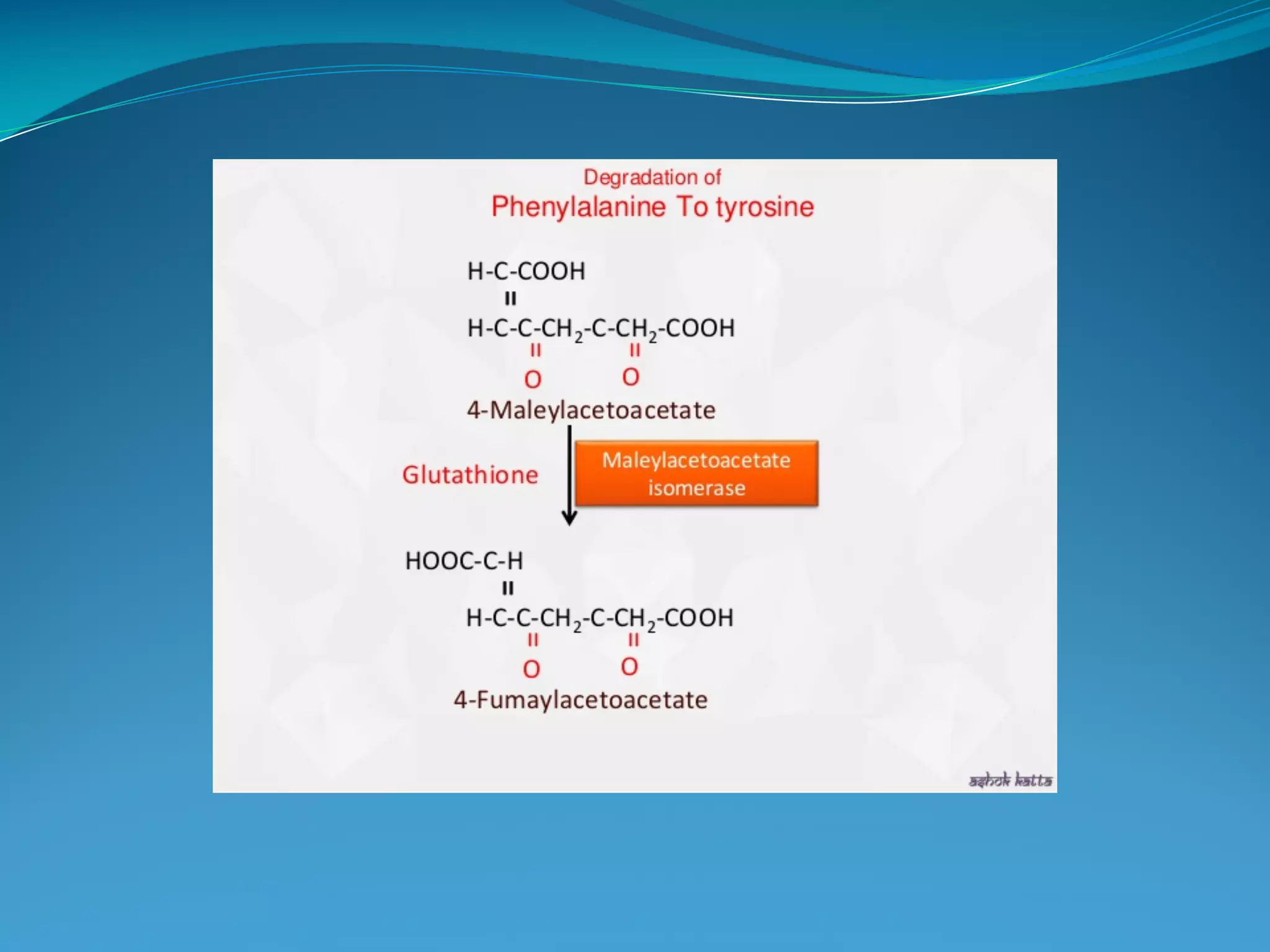 Aromatic amino acids | PDF