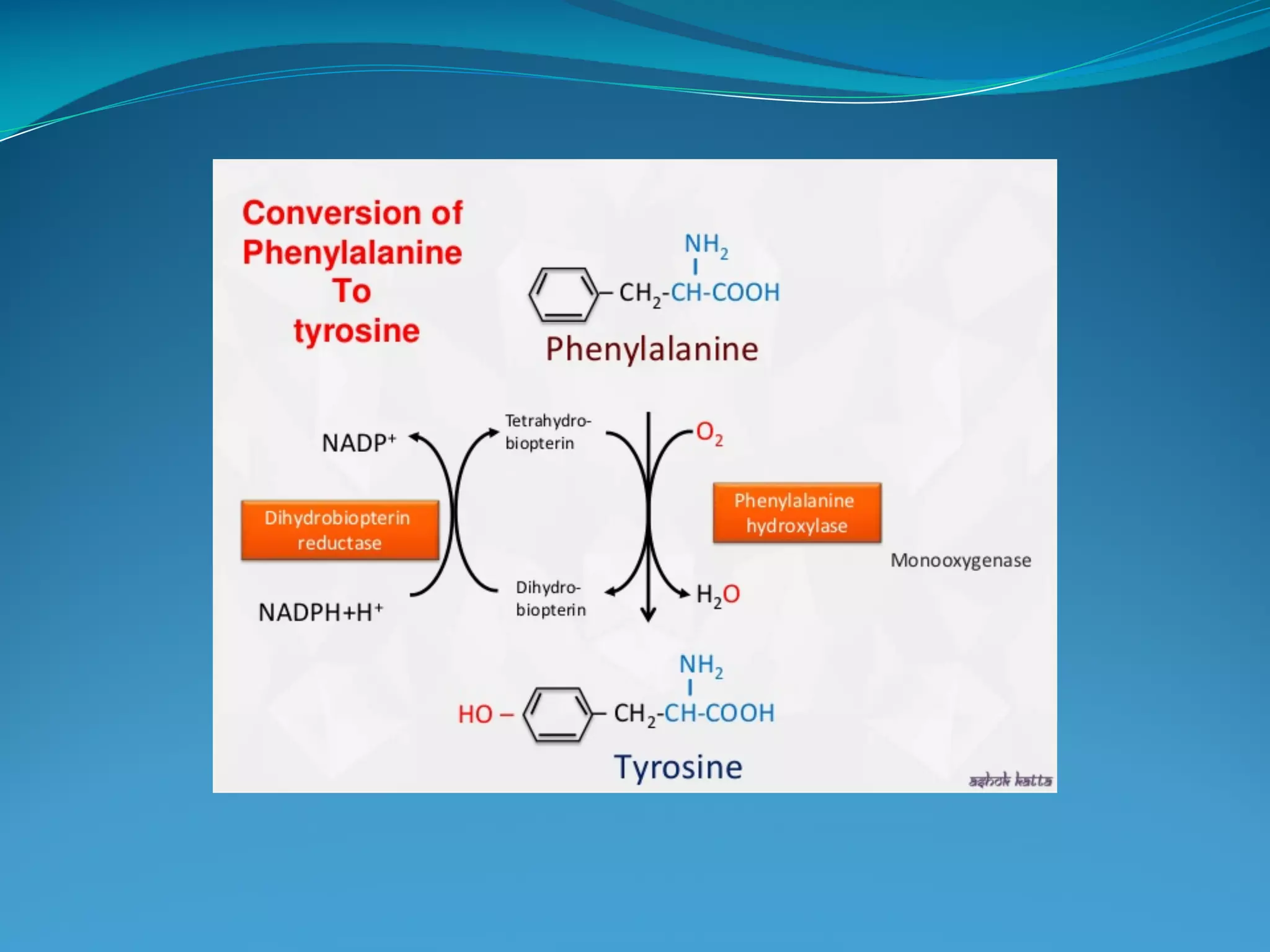 Aromatic amino acids | PDF