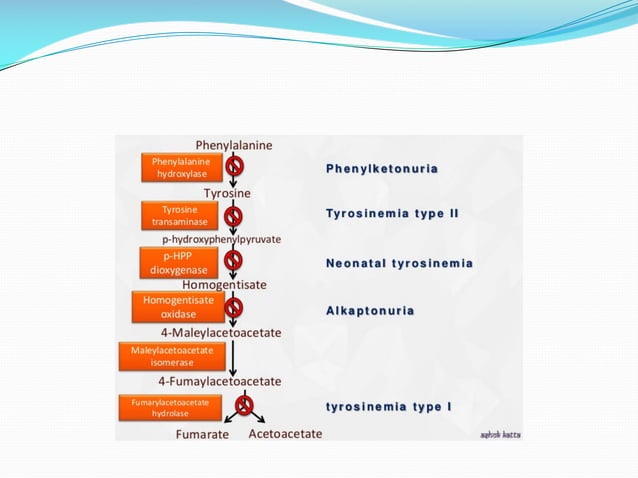 Aromatic amino acids | PDF