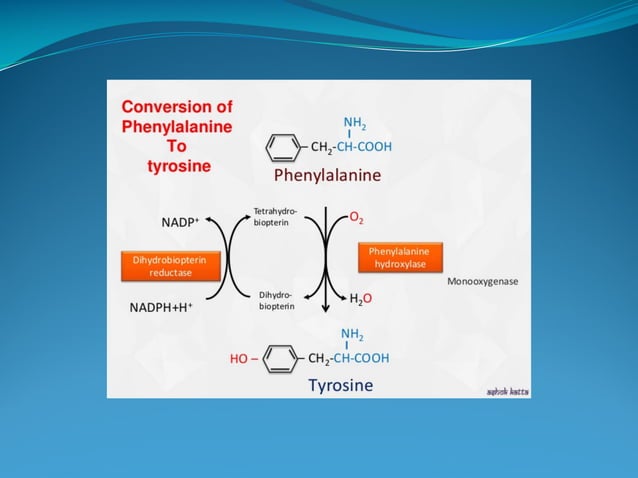 Aromatic amino acids | PDF