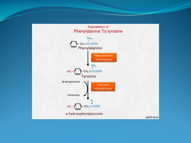 Aromatic amino acids | PDF
