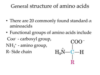 Aromatic Amino Acids