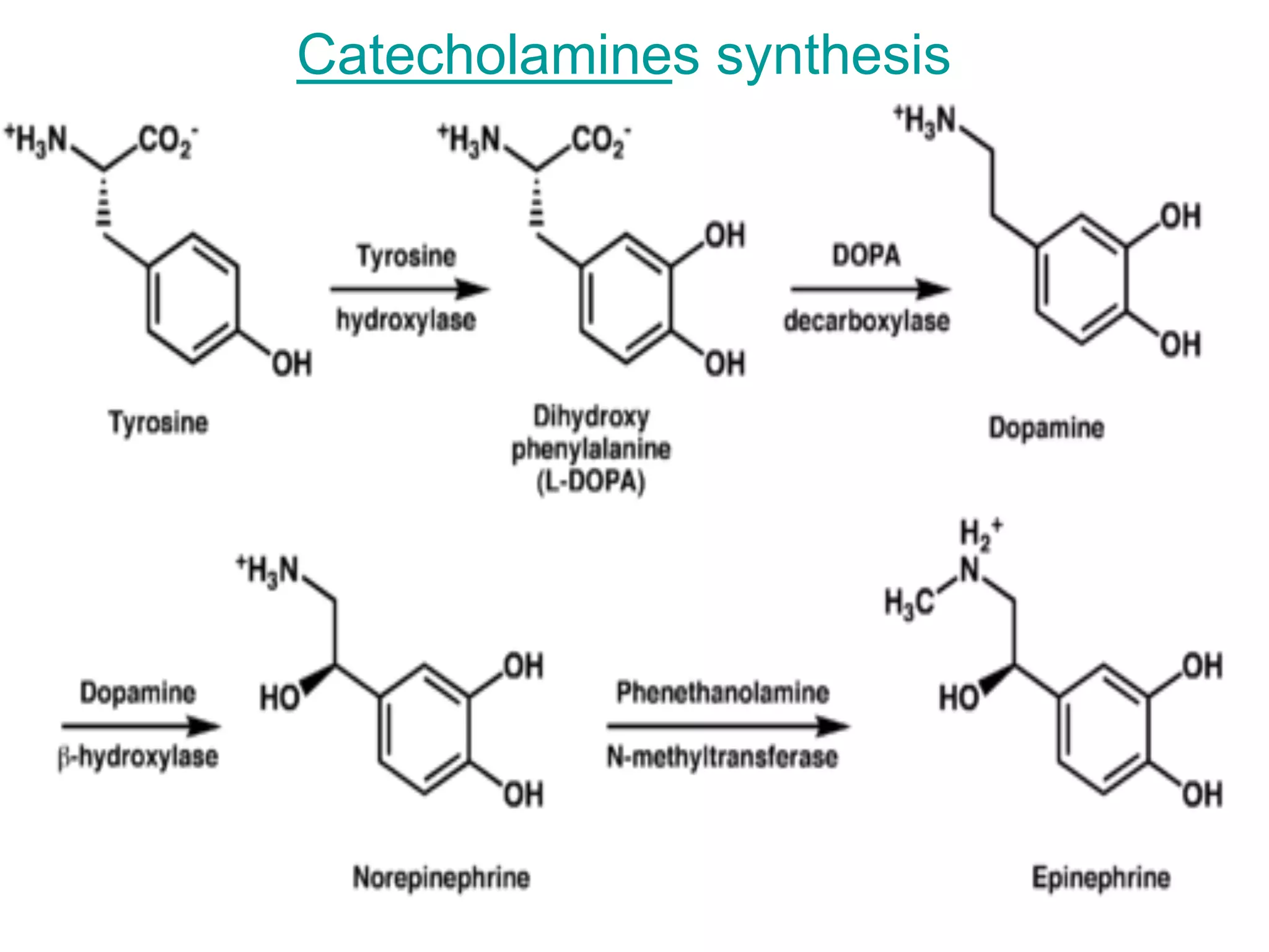 Aromatic amino acids | PPT