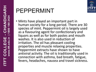ITFT Aromatic plants in India | PPT