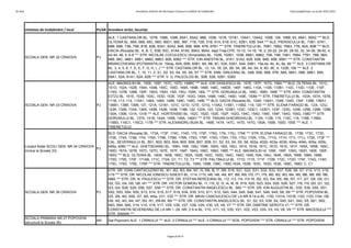 Arondare strazi cls1 2012 2013 | PPT