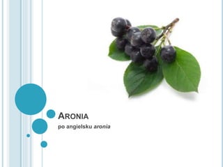 Aronia | PPTX