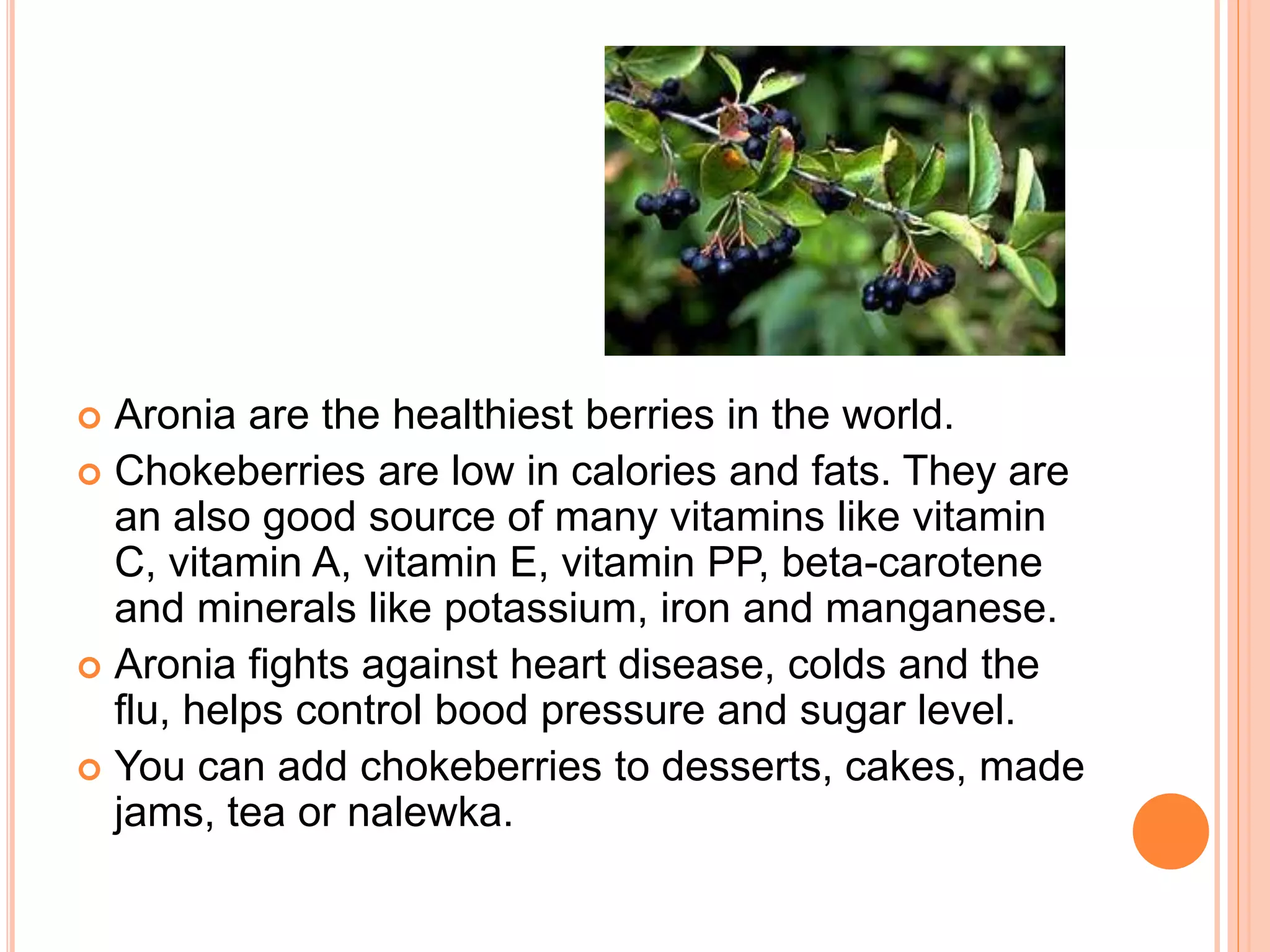 Aronia | PPTX