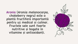 Aronia fructe și suc | PDF