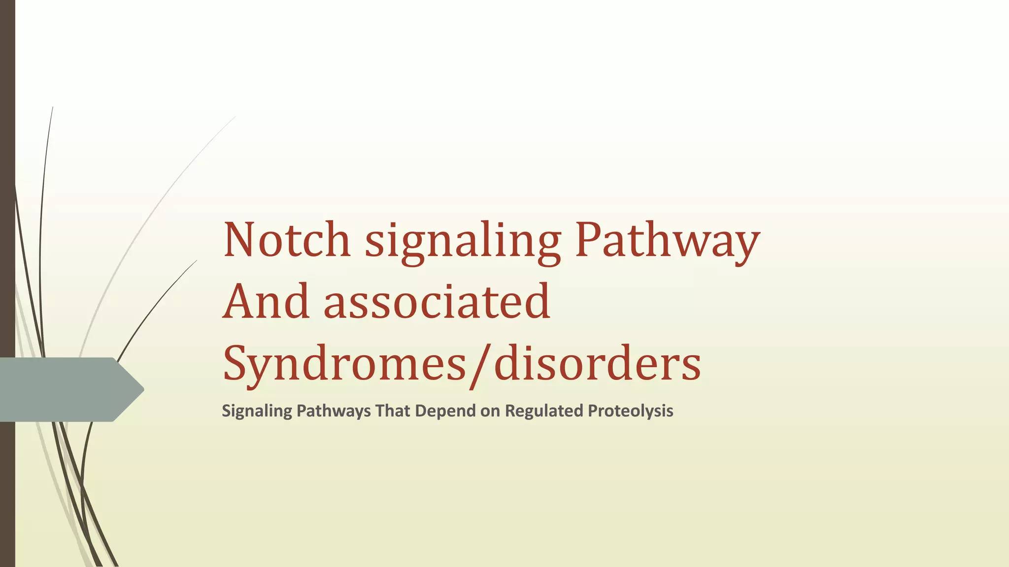 Notch signaling pathway | PPTX