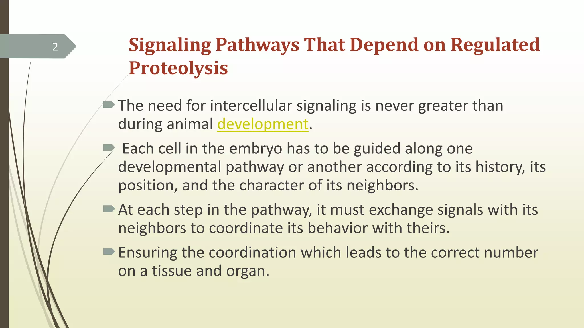 Notch signaling pathway | PPTX