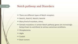 Notch signaling pathway | PPTX