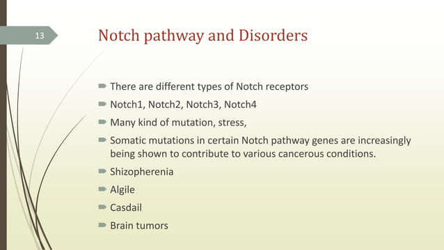 Notch signaling pathway | PPTX