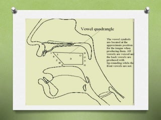 Vowels Assignment | PPT