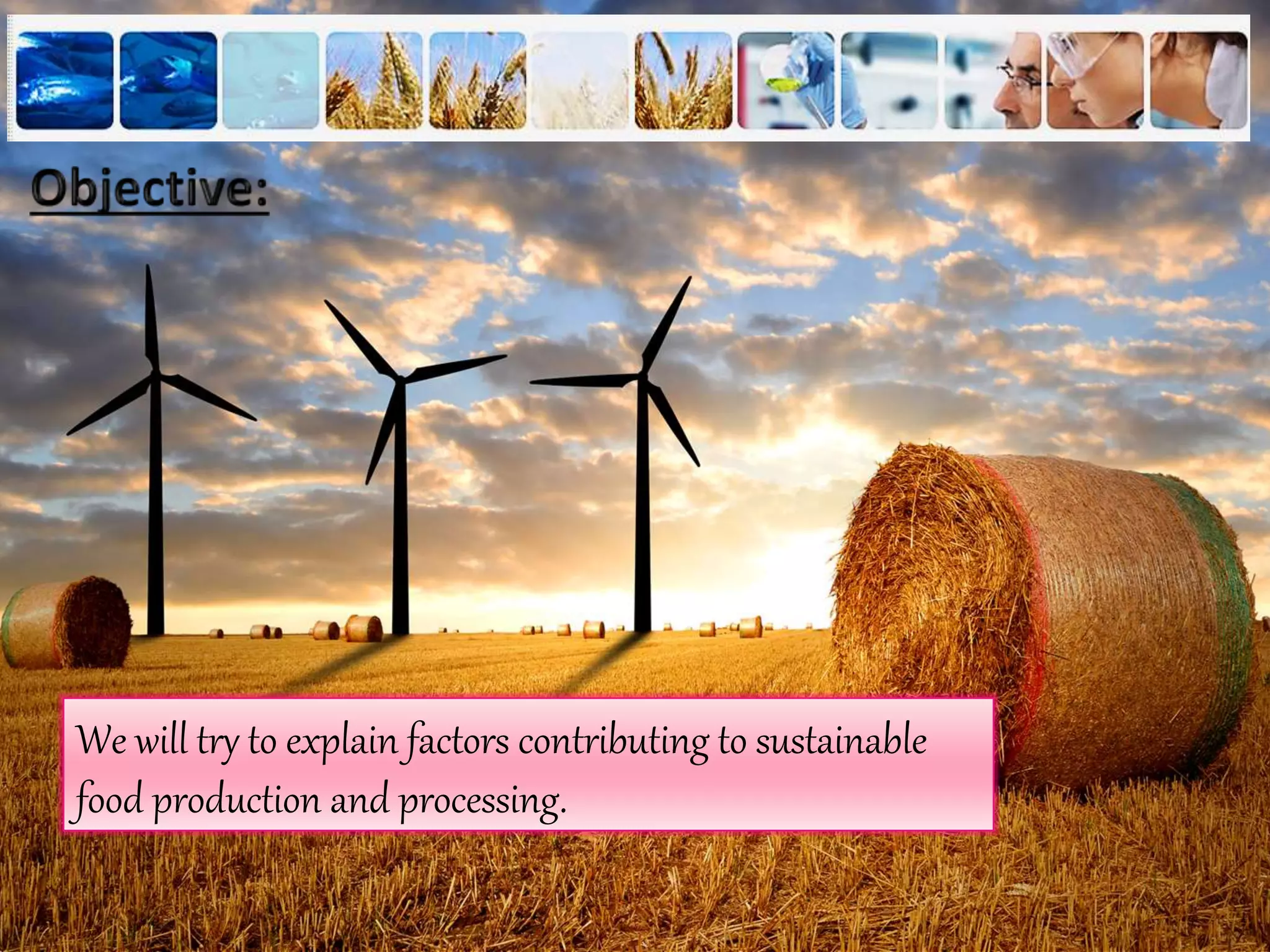 Sustainable Food Production System | PPTX