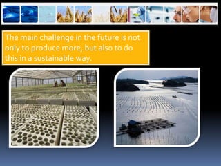 Sustainable Food Production System | PPTX