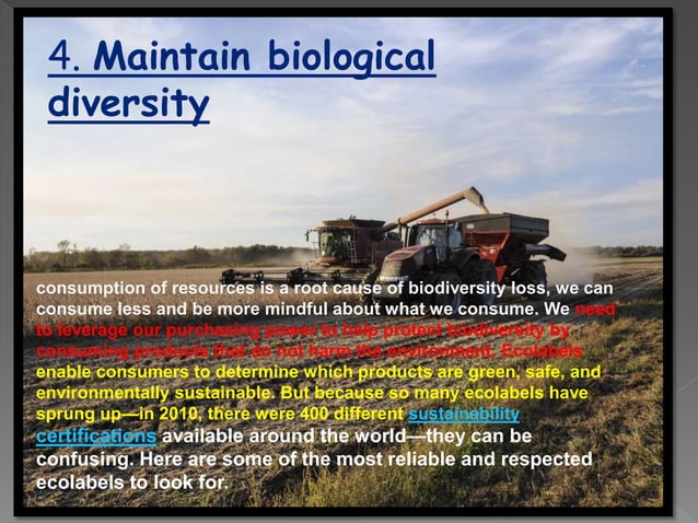 Sustainable Food Production System | PPTX