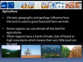 Sustainable Food Production System | PPTX
